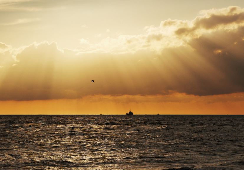 Poet Lady Katz – “Poetry powers the engine of possibility.” – Susan A. Katz